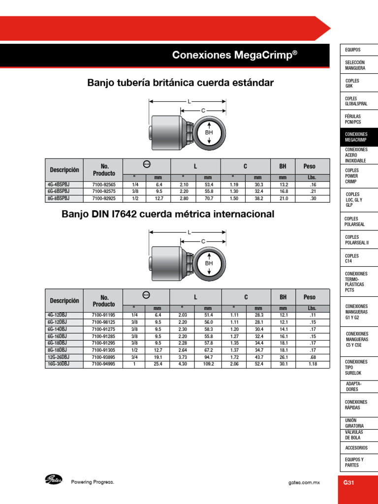 Conector Banjo Gates | PDF