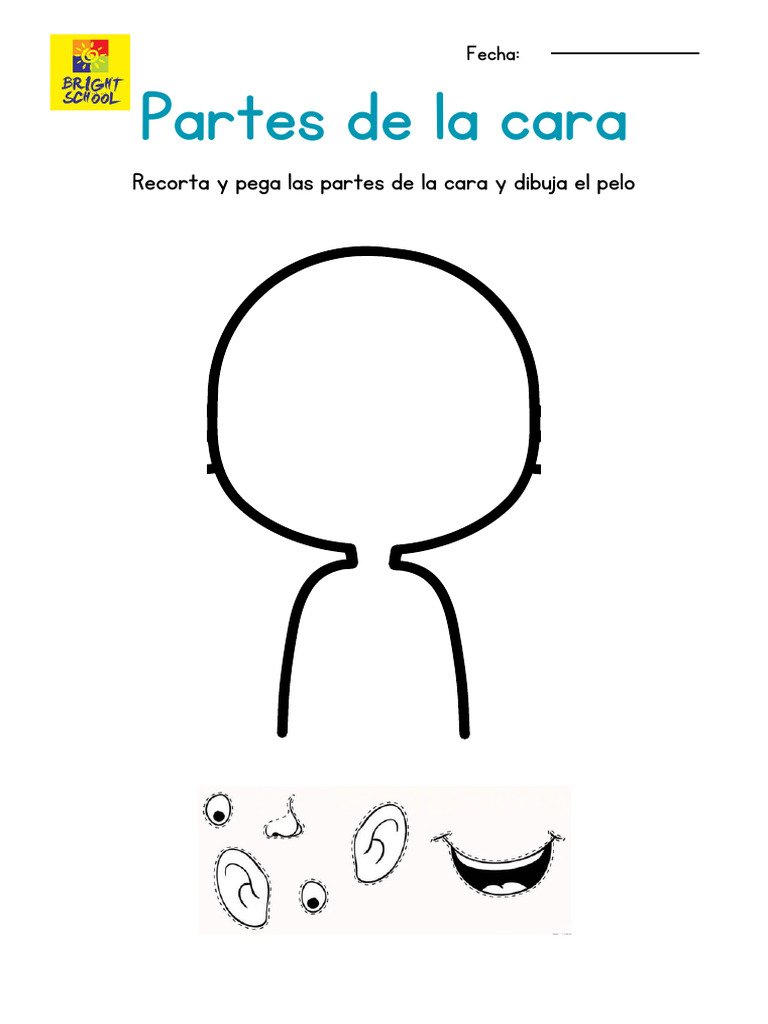 Partes de la cara | PDF