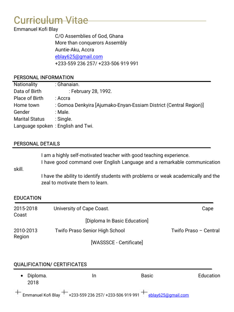 Blay's CV 2019 | PDF