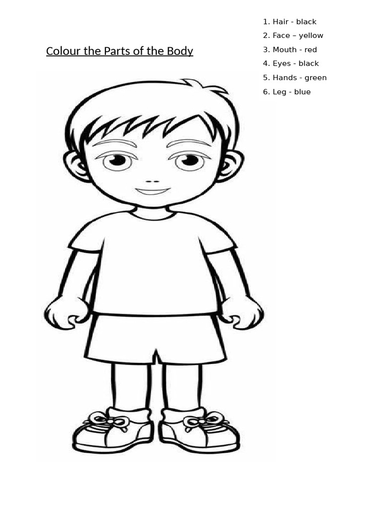 Colour The Parts of The Body | PDF