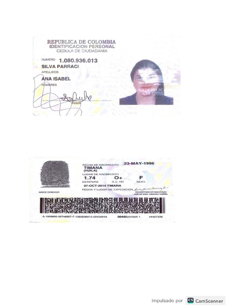 CC Ana Isabel Silva | PDF