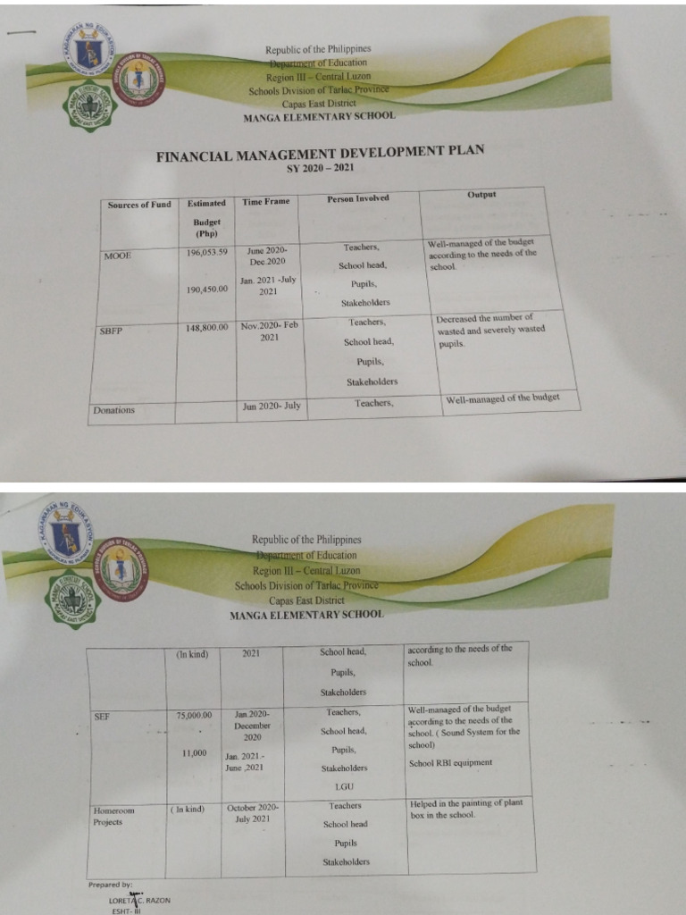 Financial Management Development Plan | PDF