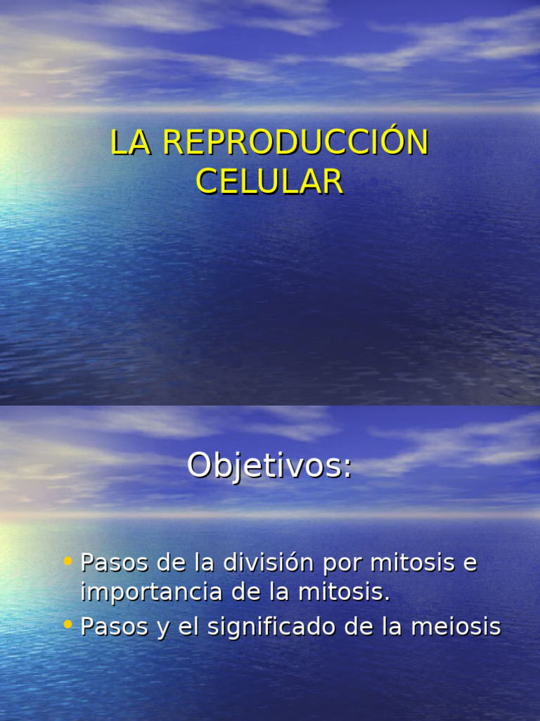 Capitulo4 (1) 2 | PDF | Mitosis | Mitosis