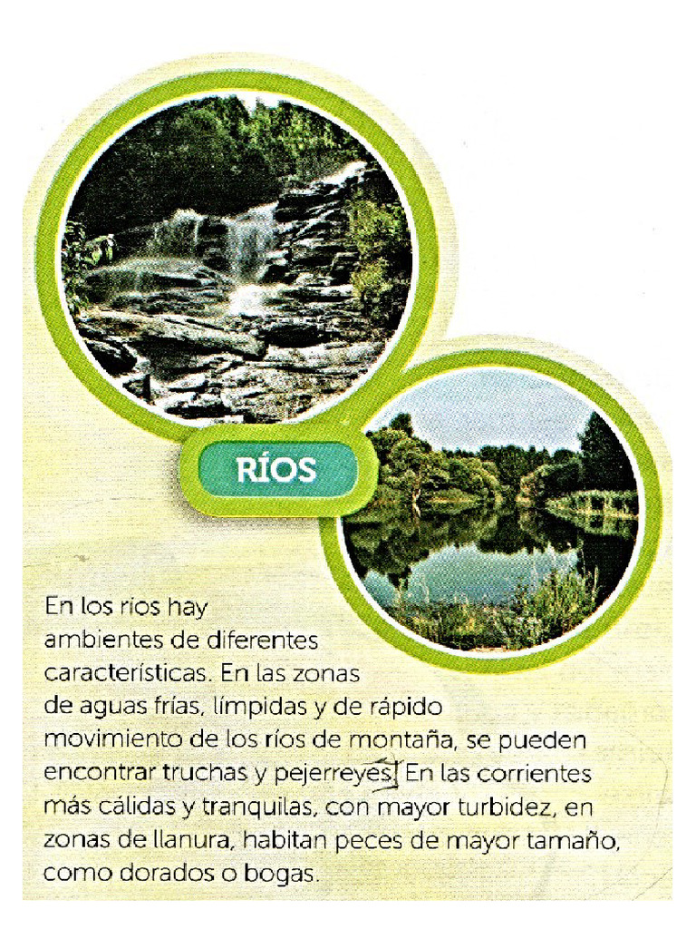 Biodiversidad Acuática 3 | PDF