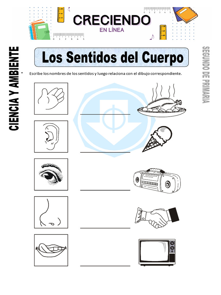 Los Sentidos Del Cuerpo | PDF