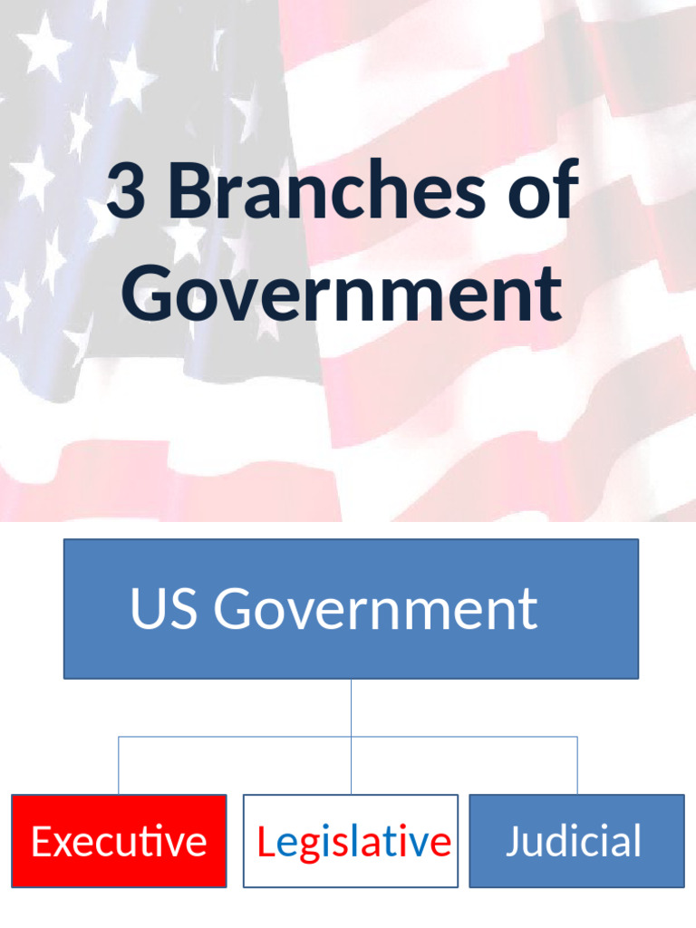 3 Branches of Government | PDF