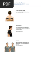 Upper Body Thera Band Exercise Program - Basic | PDF | Elbow | Arm