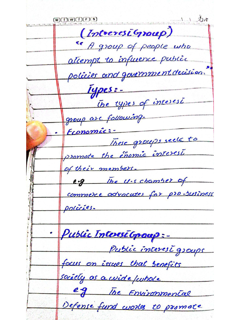 Interest Group Types and Funtions | PDF