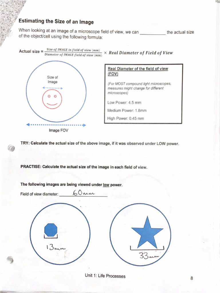 Estimating Size of an Image080a76e1a6df9beca6948dbf190da9aa6b8fef6e70872c9678c7f9781d211b8e | PDF