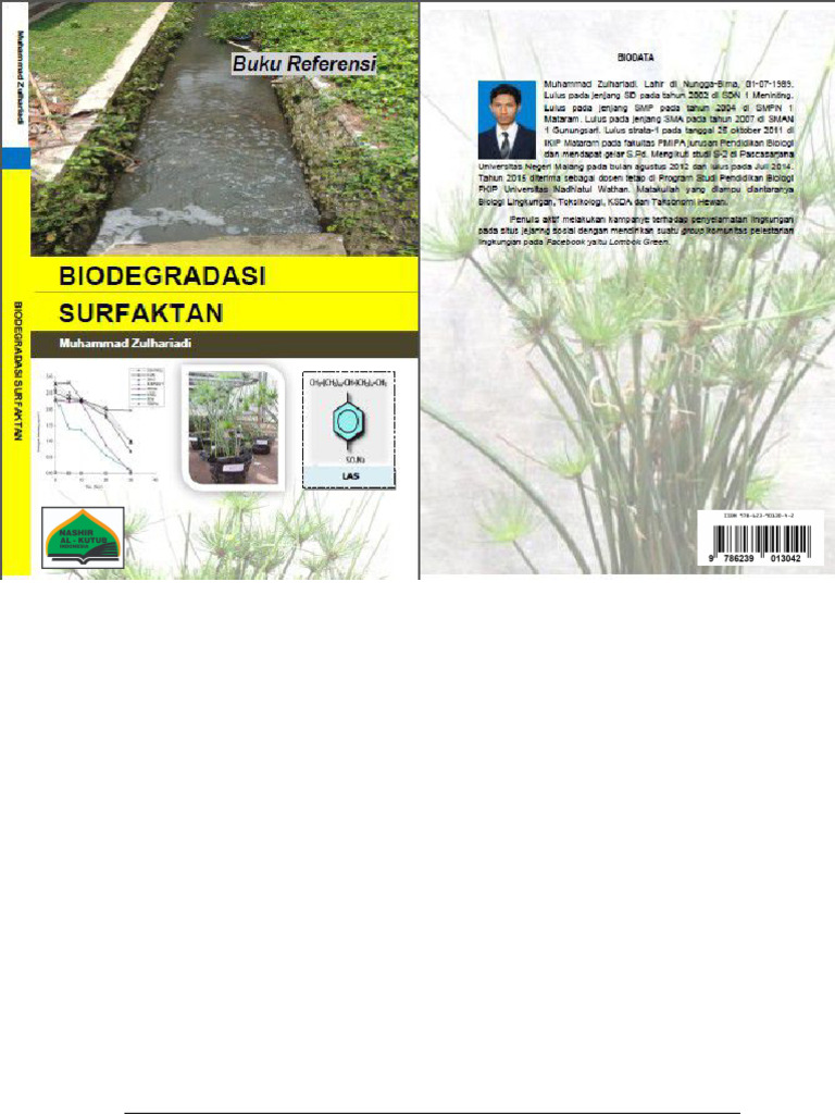 Biodegradasi Surfaktan dalam Lingkungan | PDF