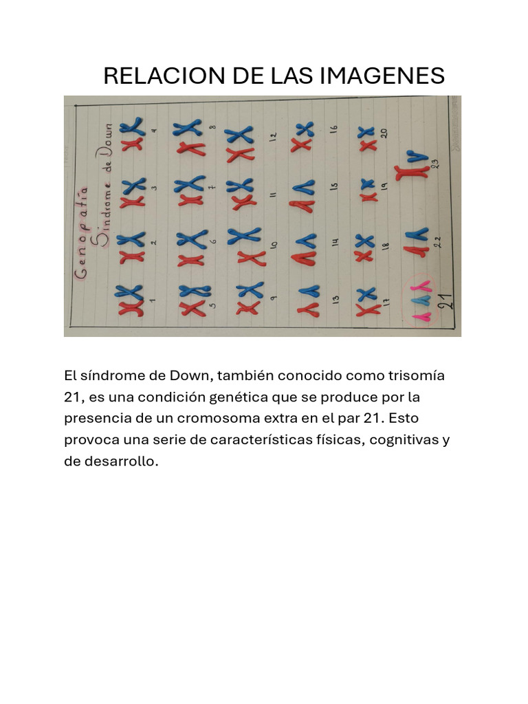 Documento 32 | PDF | El embarazo | Embrión