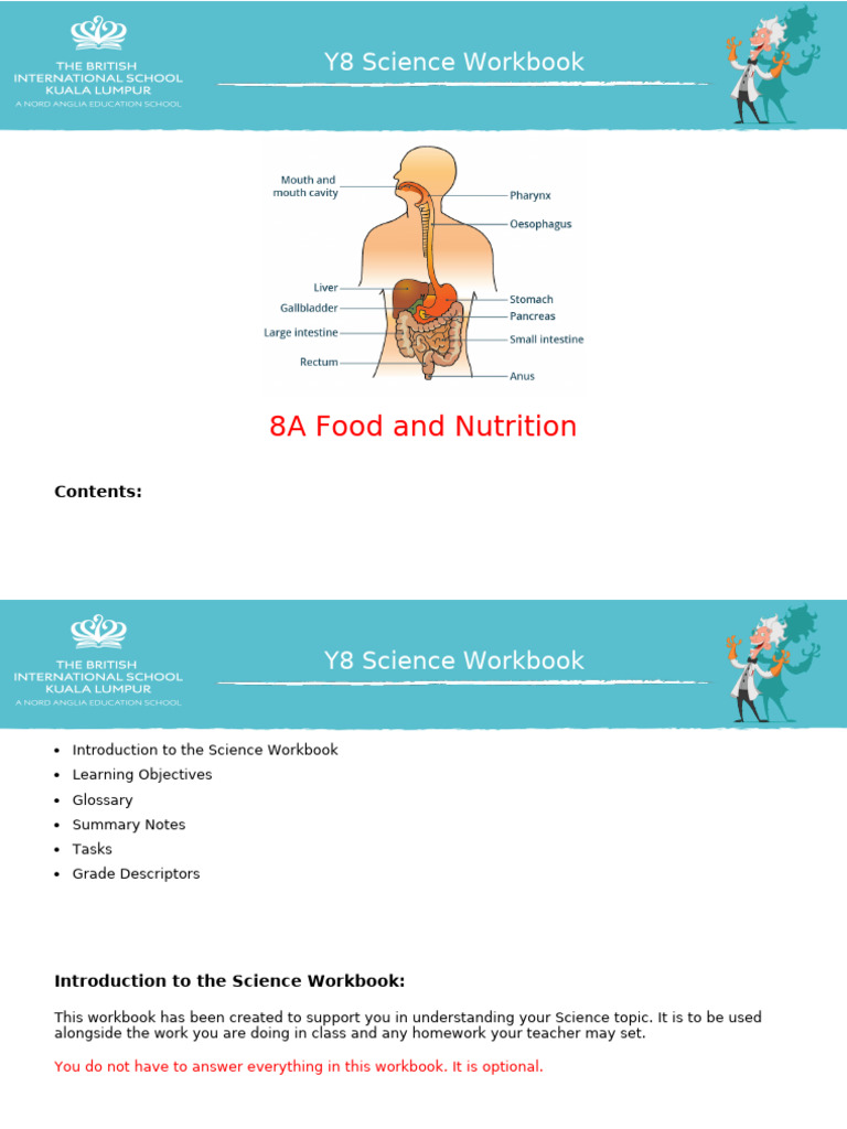 Nutrition and Digestion for Year 8 | PDF | Digestion | Foods