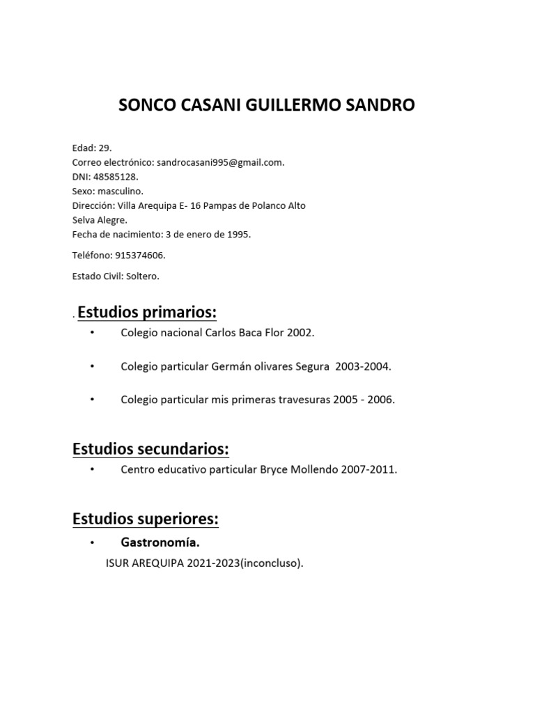 CV Sandro - Casani-2024cocinero | PDF