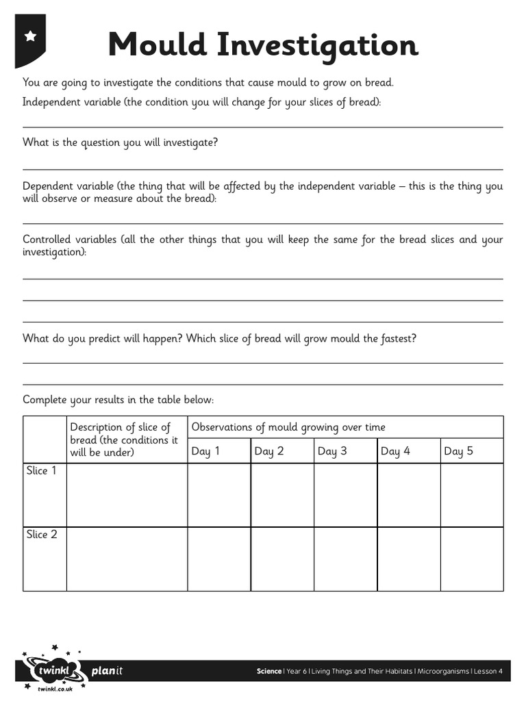Activity Sheet Mould Investigation | PDF