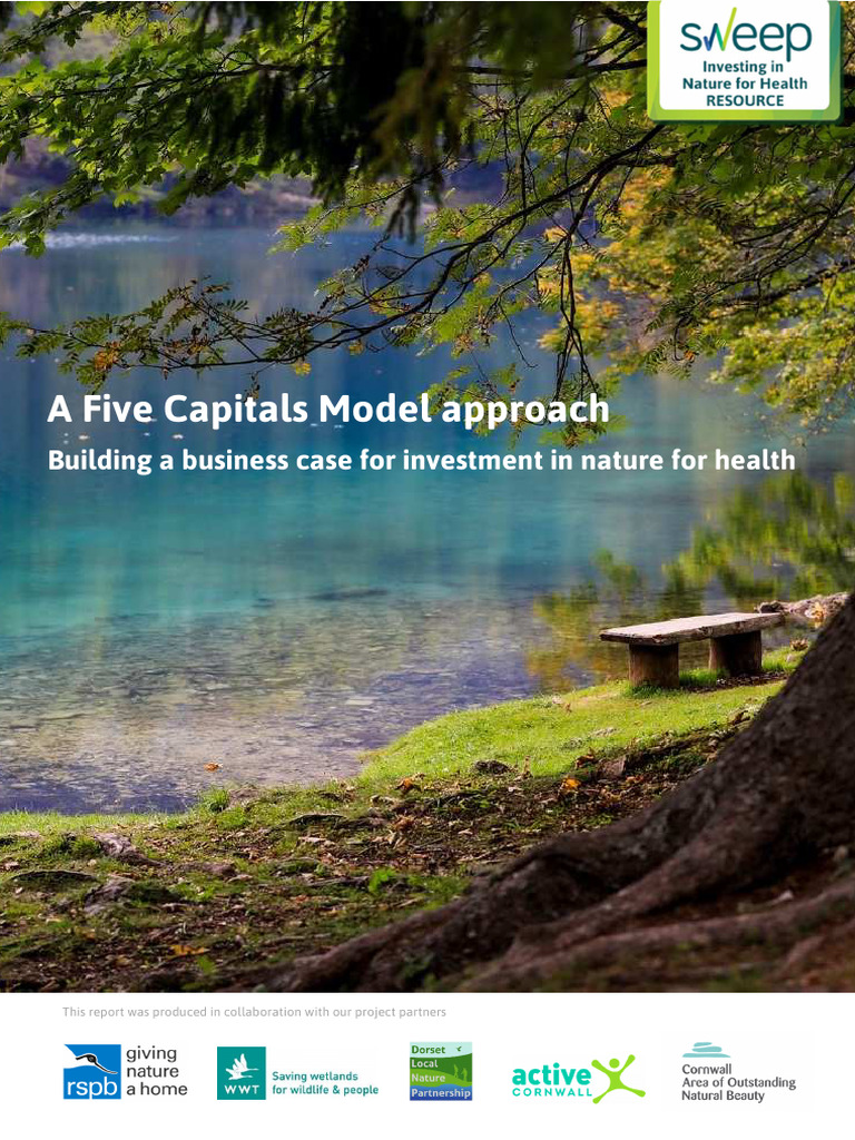 Five Capitals Model for Nature Investment | PDF | Sustainability ...