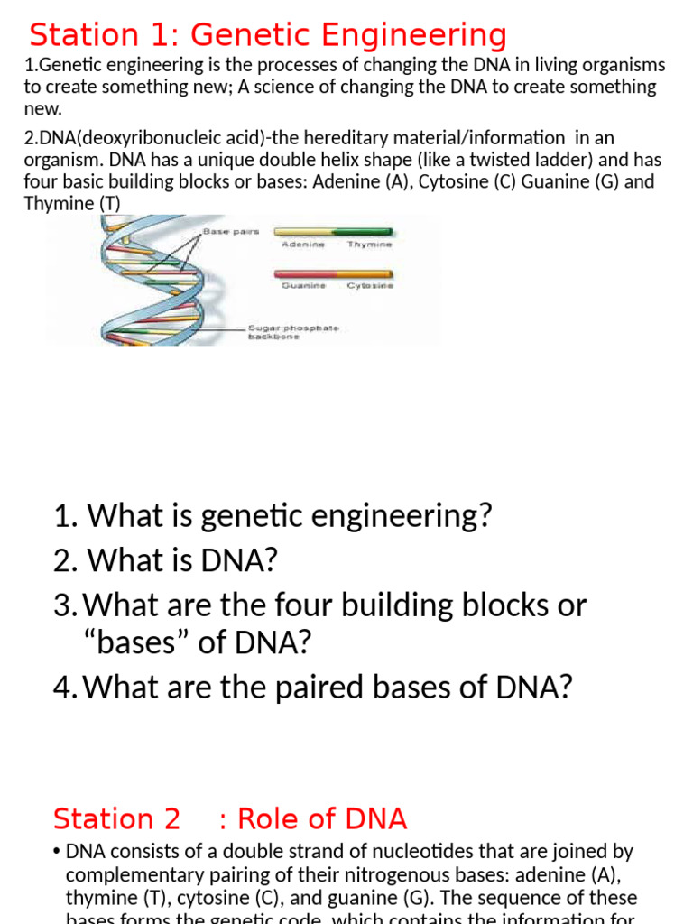Genetic Engineering | PDF | Dna | Genetics