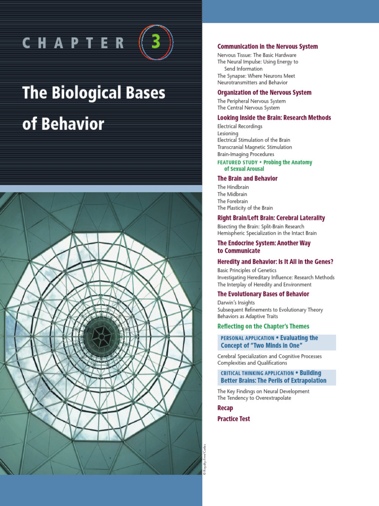 Psychology Themes and Variations Chapter 3 | PDF | Chemical Synapse | Synapse