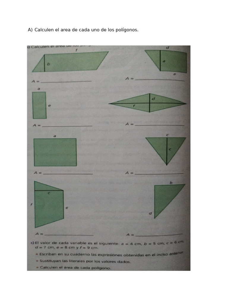 Cálculo de áreas de polígonos | PDF