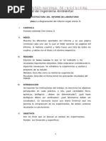 Modelo Informe de Laboratorio-2025-1-BIOLOGIA GENERAL | PDF | Laboratorios | Experimentar