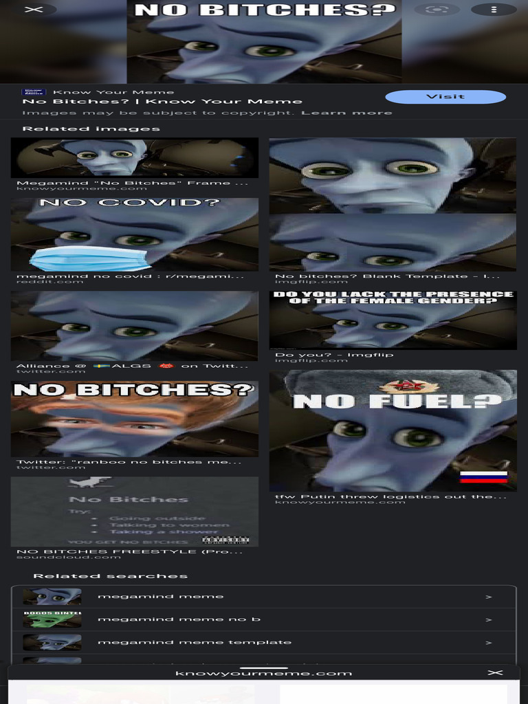 Megamind "No Bitches" Meme Guide | PDF
