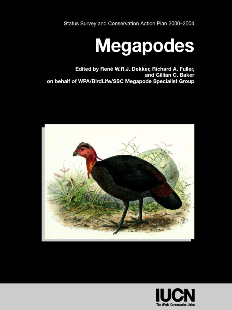 Megapodes | PDF | Habitat Destruction | Habitat
