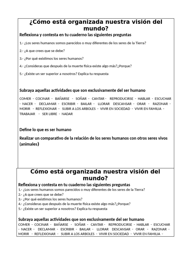 Cómo está organizada nuestra visión del mundo | PDF