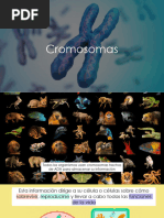 Clase#2 Dotación Cromosomica. | PDF | Cromosoma | Biología Celular)