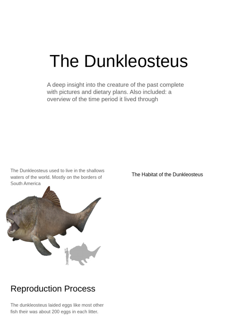 Dunkleosteus: Habitat, Diet & Reproduction | PDF