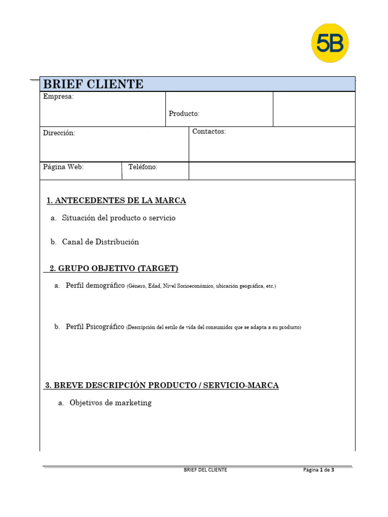 Brief Campaña Atms | PDF