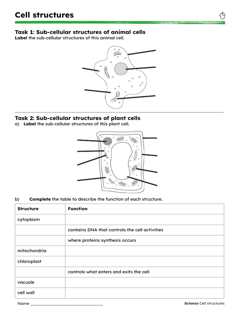 Animal vs Plant Cell Structures Explained | PDF