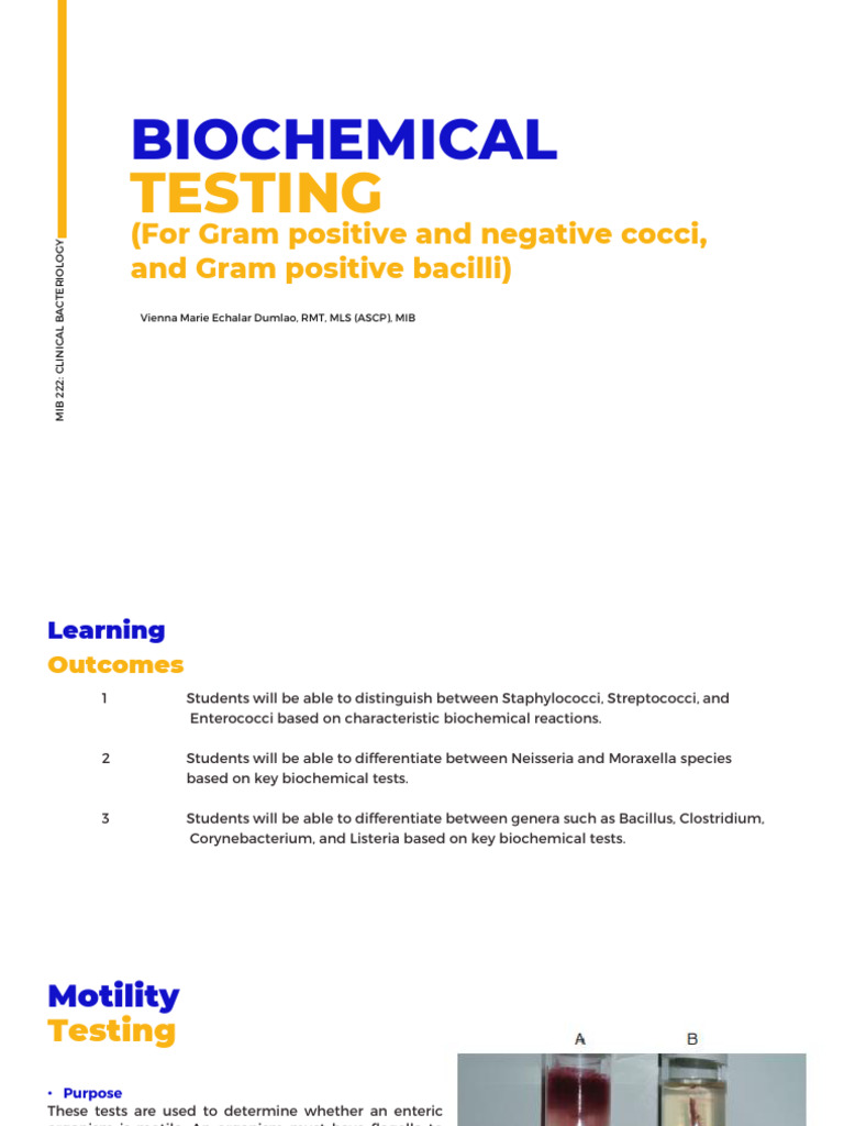 LEC-5-Biochemical-Tests - (For Gram Positive and Negative Cocci, Gram ...