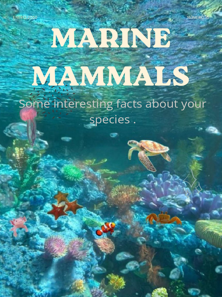 Fascinating Marine Mammals Facts | PDF