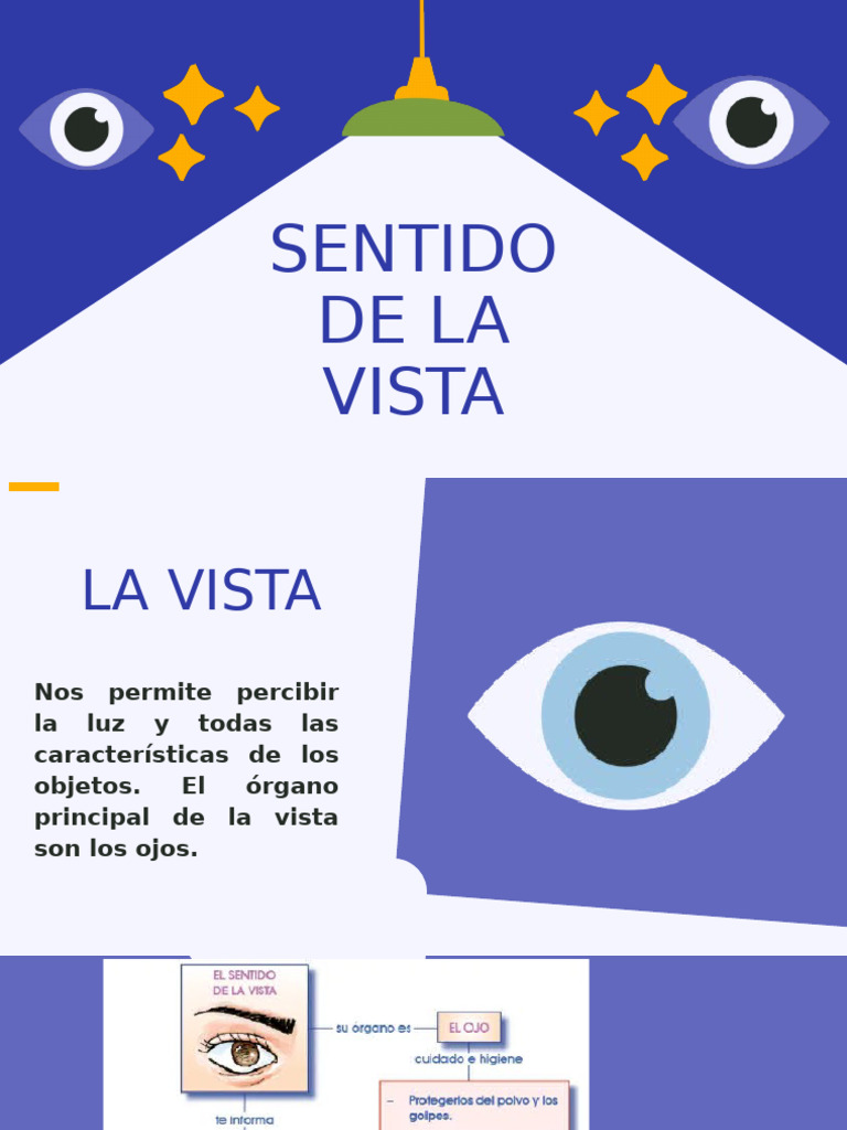 Descubrimos El Sentido de La Vista | PDF
