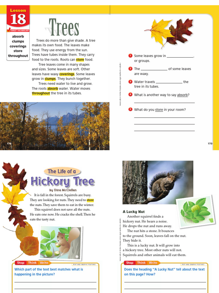 Journeys Write in Reader g3 Unit4 | PDF | Trees | Plants