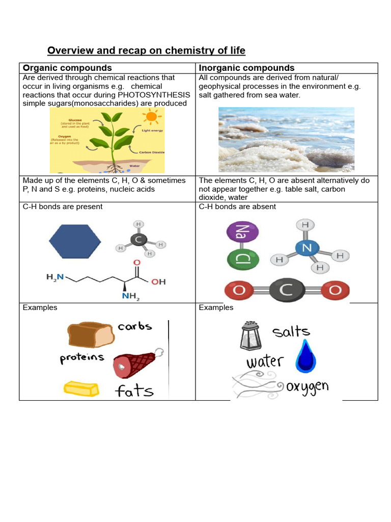 Chemistry of Life: Organic Compounds Overview | PDF | Carbohydrates ...