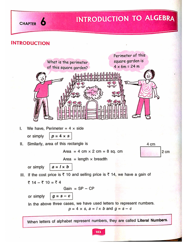 Introduction To Algebra | PDF