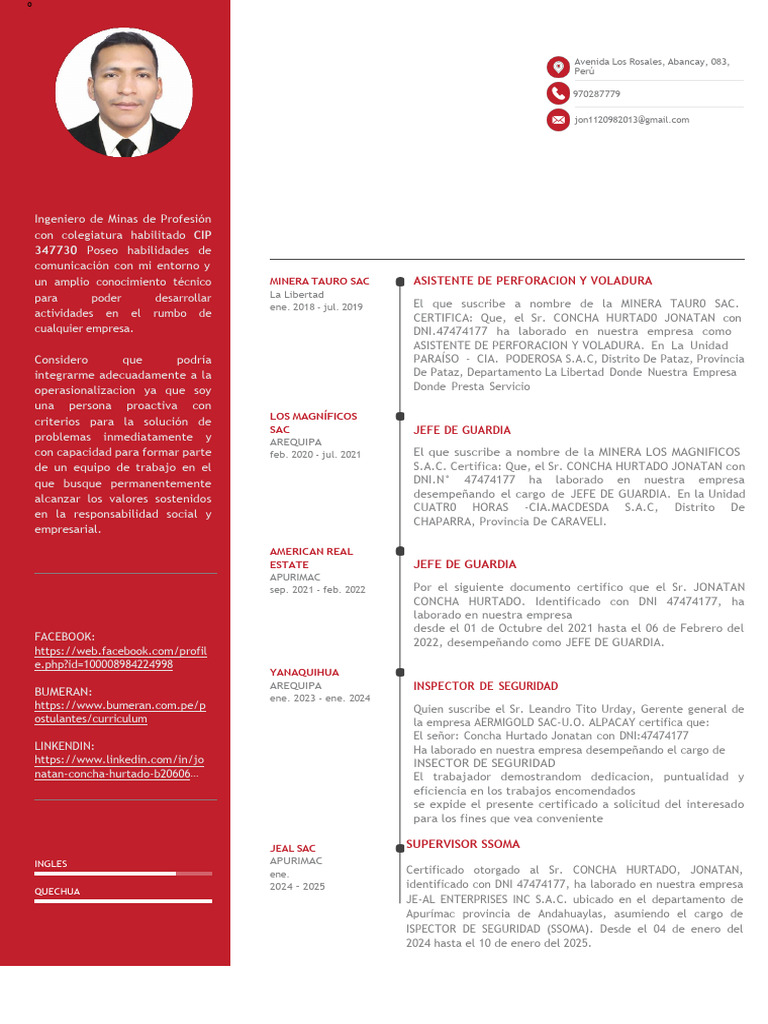 CV2025 Mina Inmaculada | PDF