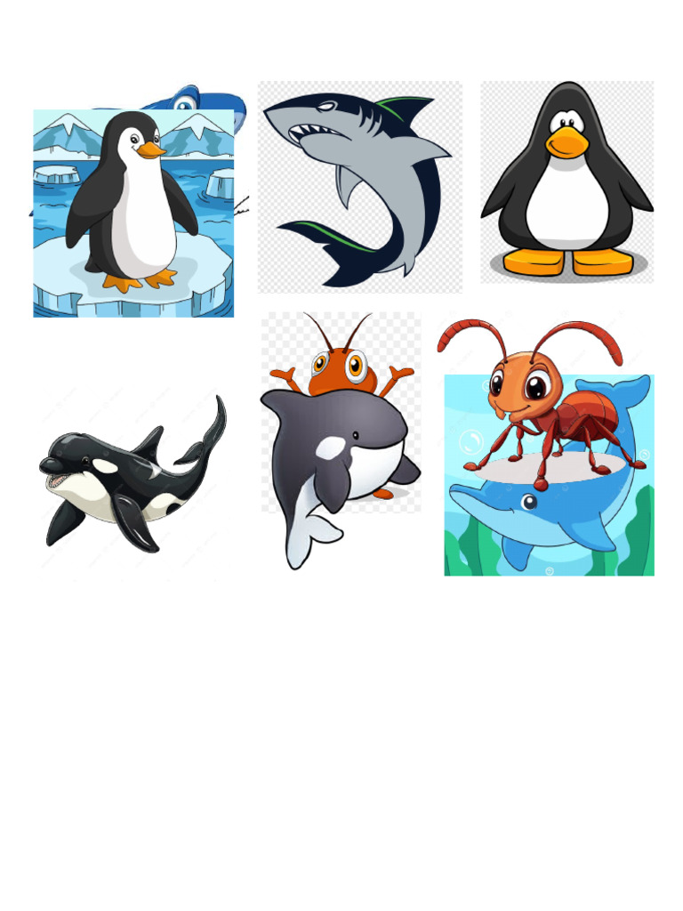 Imagenes Animales Admin | PDF