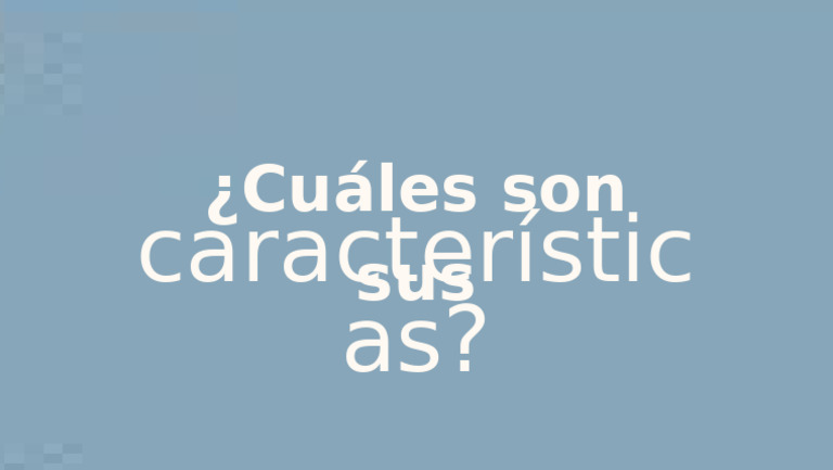 CARACTERIS (1) | PDF