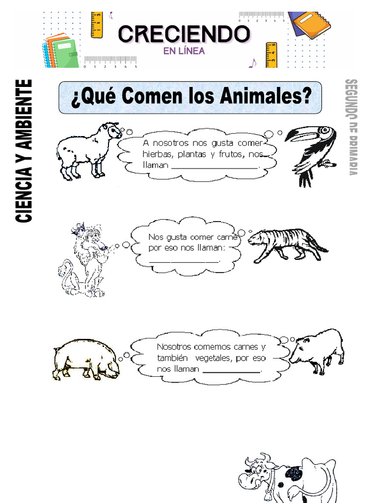 Qué Comen Los Animales | PDF