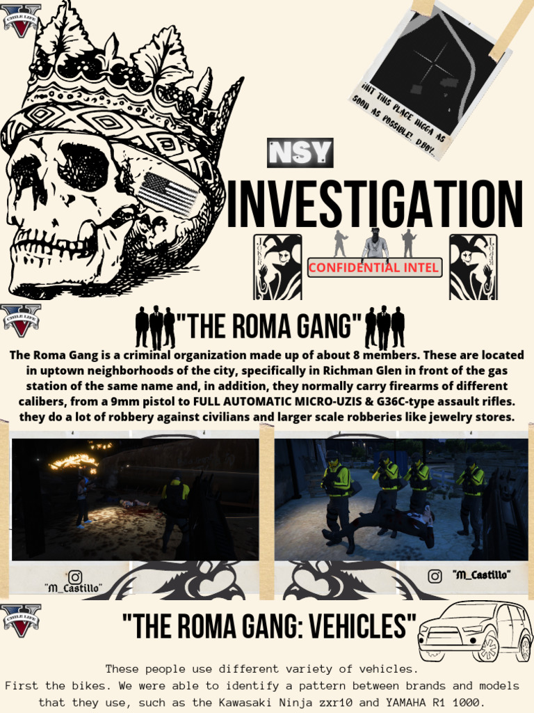 Roma Gang: Criminal Activities Overview | PDF