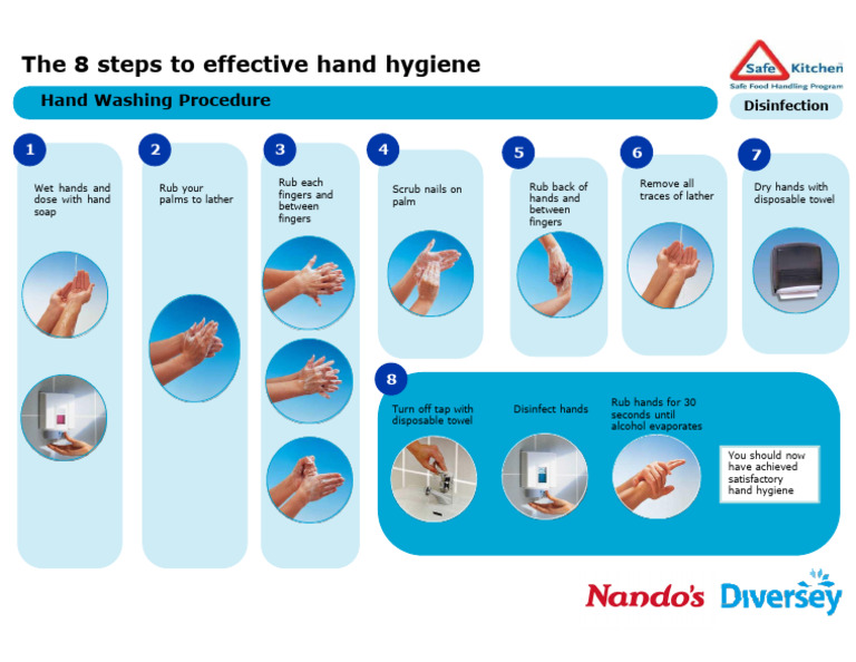 8 Steps to Effective Hand Hygiene | PDF