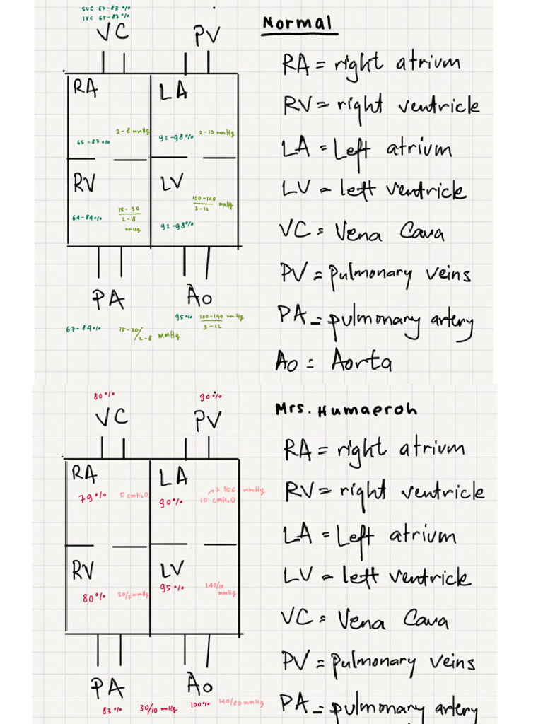 Jessica Victoria Task 3 | PDF