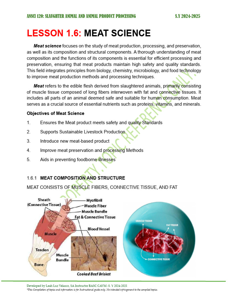 Meat Science: Composition & Processing | PDF | Connective Tissue | Meat