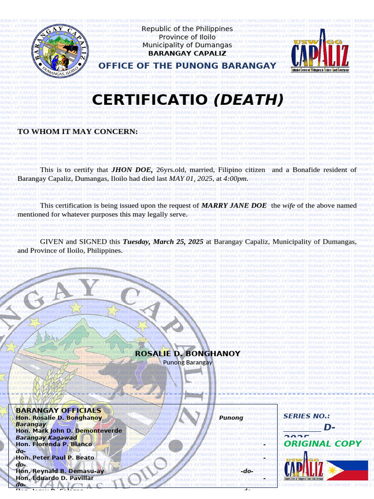Barangay Death Certificate | PDF