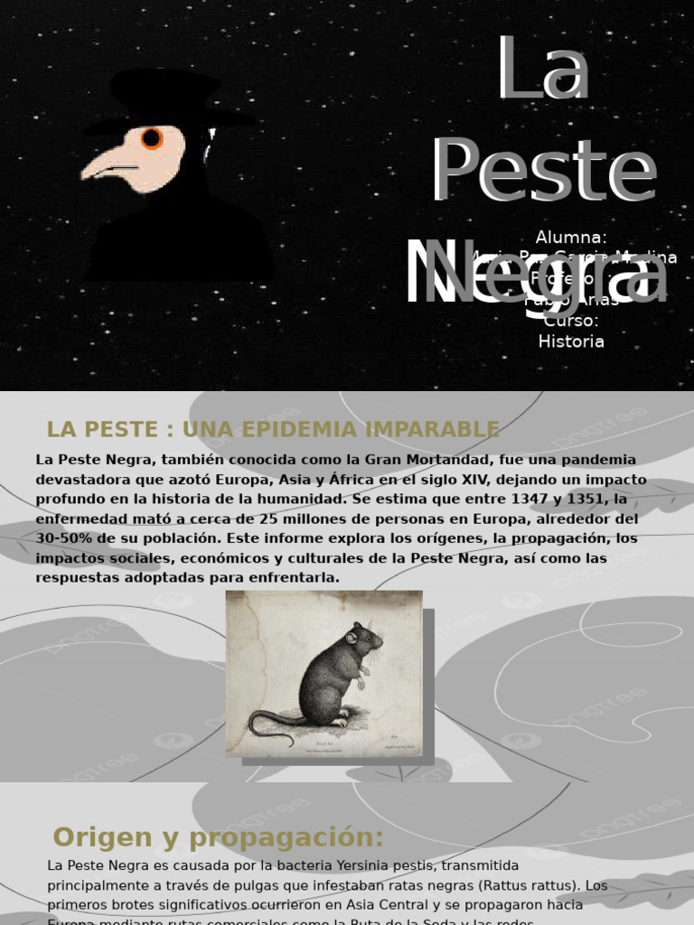 Causas de la Peste Negra | PDF | Peste (enfermedad) | Muerte negra