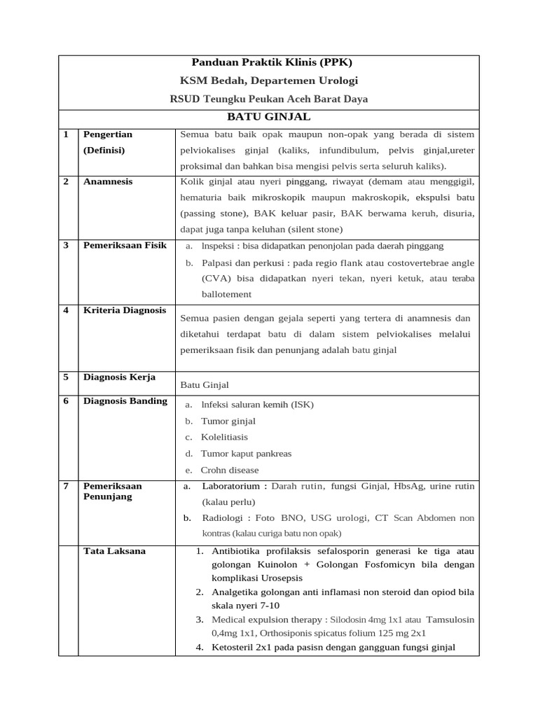 Panduan Praktik Klinis Batu Ginjal-1 | PDF