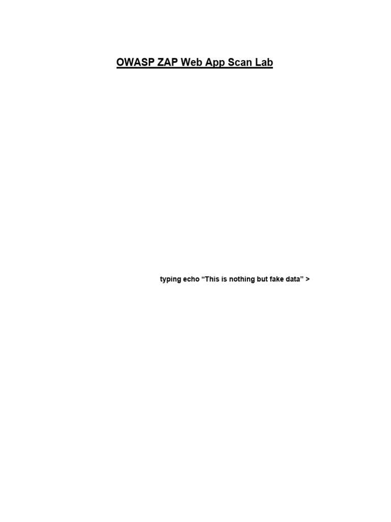 OWASP ZAP Web App Scan Lab | PDF