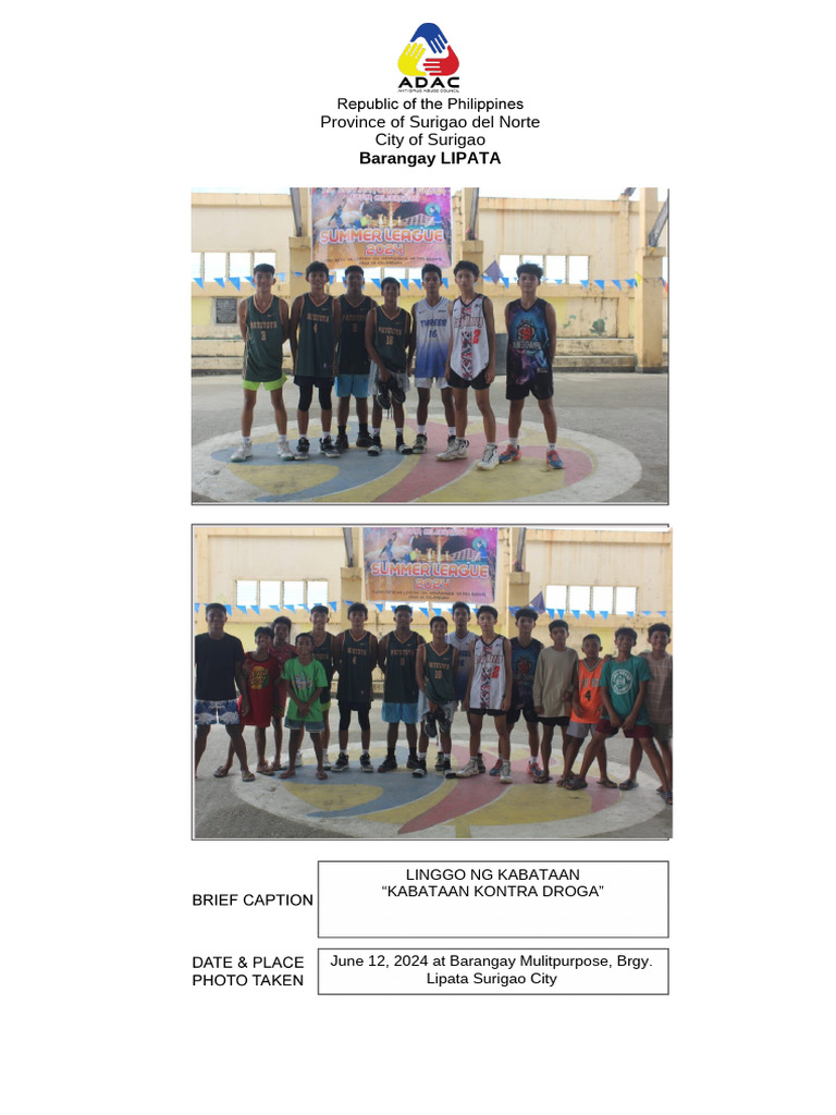 BADAC TEMPLATE Photo Documentation 3 | PDF