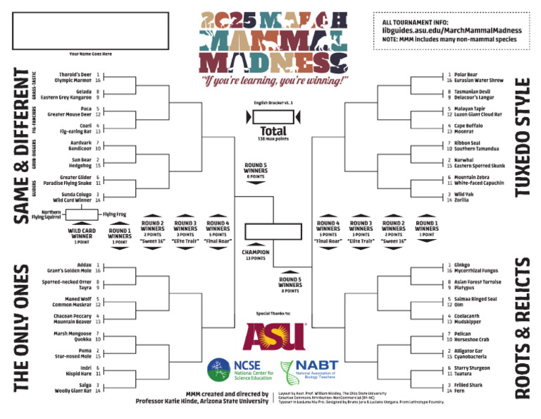 MMM 2025 Bracket | PDF